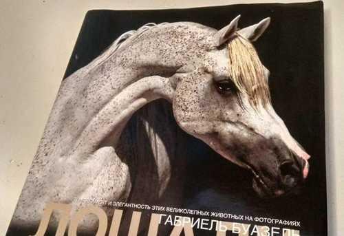 Книги о лошадях и энциклопедия животных