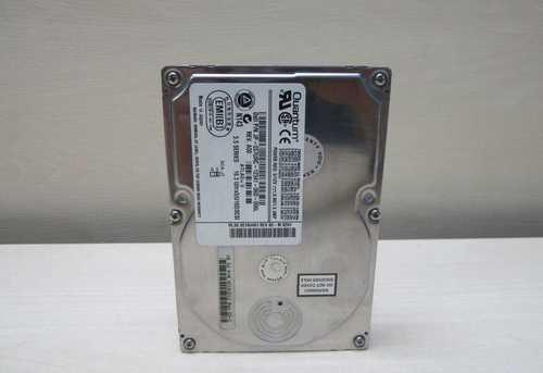 HDD Quantum atlas V (18,3GB) scsi SCA-80 №32