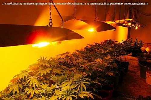 Днат 400 Вт - свет эффективный свет для растений