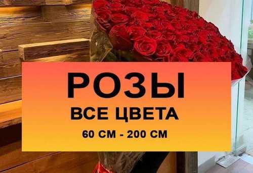 101 роза, букет цветов, розы