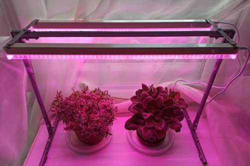 Подставка-светильник для растений