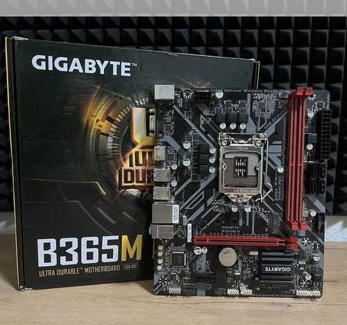 Gigabyte B365M H