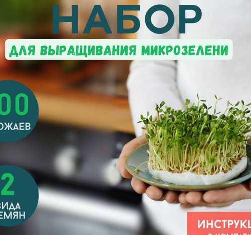 Набор микрощелени 100 урожаев