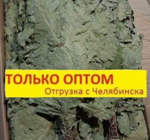 Банные веники оптом