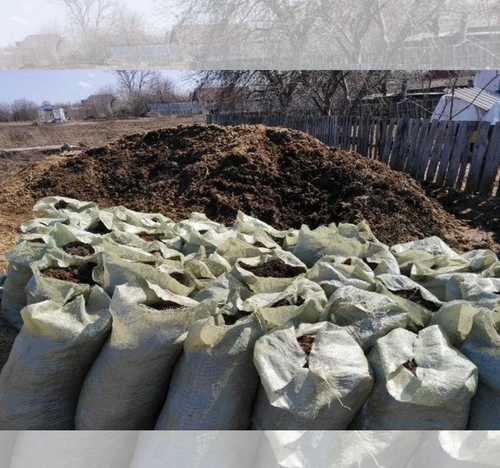 Перегной торф чернозем в мешках с доставкой