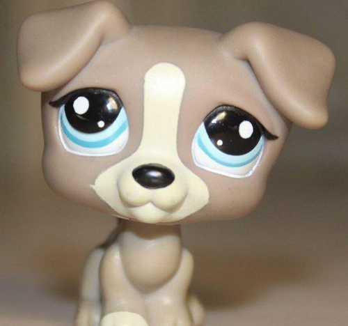 Littlest pet shop собака джек рассел