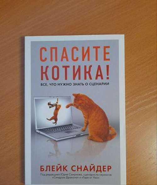 Спасите котика читать