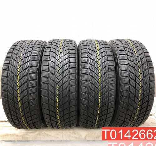 Pace Antarctica 5 205/60 R16 96H