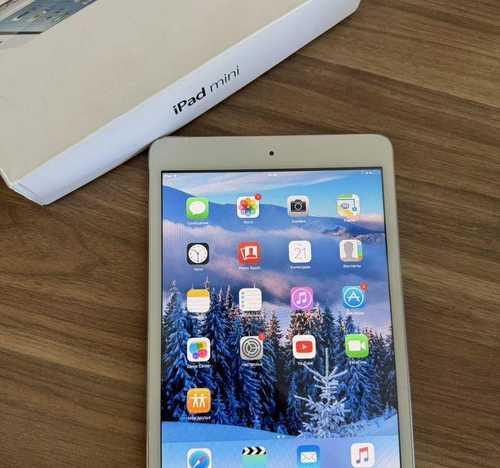 iPad mini A1432