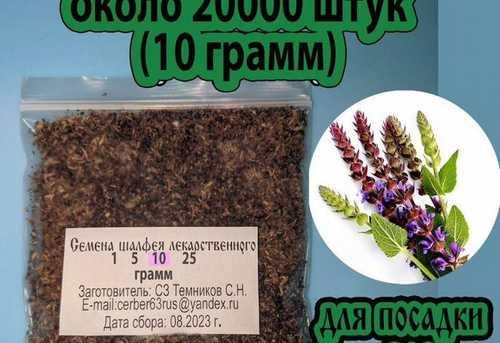 Семена шалфея лекарственного / 20000 шт./ 10 гр