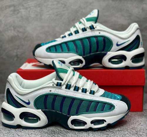 Кроссовки мужские Nike Air Max Tailwind