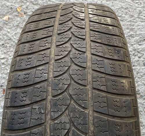 Tigar Winter 1 215/50 R17 95V