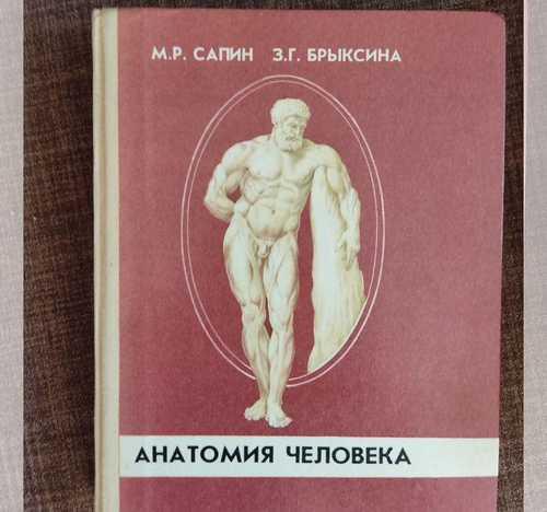 Анатомия человека М. Р. Сапин, З. Г. Брыскина