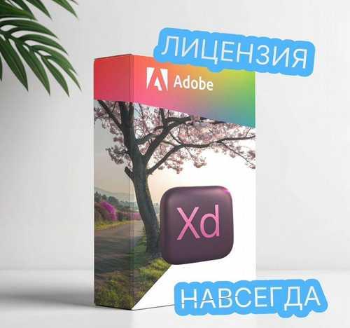Adode XD 2024 (Адоб хд скачать) Навсегда Москва | Игровые приставки ...