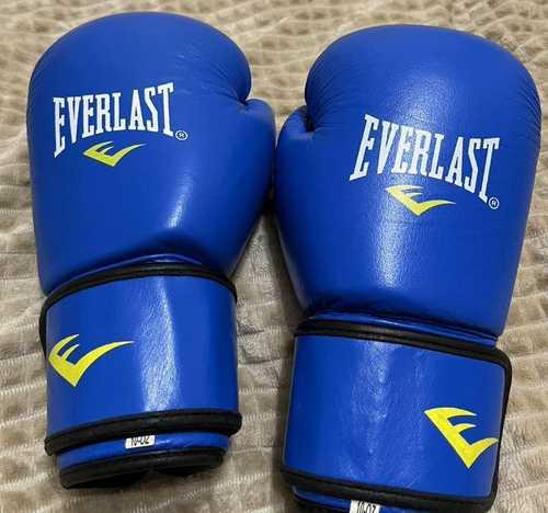 Боксерские перчатки (everlast 10 oz)