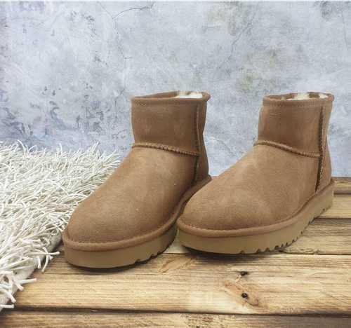 Ugg оригинал Мужские