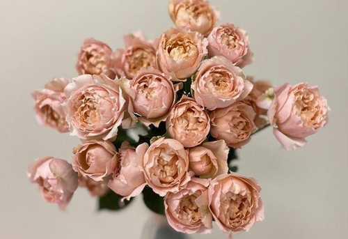 Пионовидные розовые розы доставка