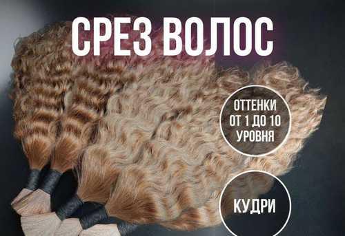 Волосы в срезе кудрявые