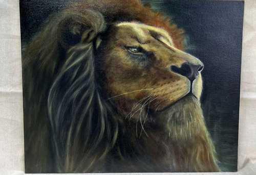 Лев, картина льва маслом