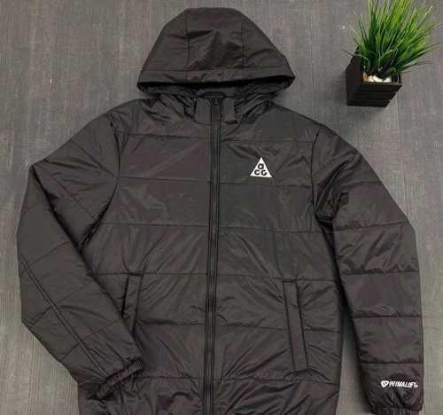 Куртка весенняя Nike ACG