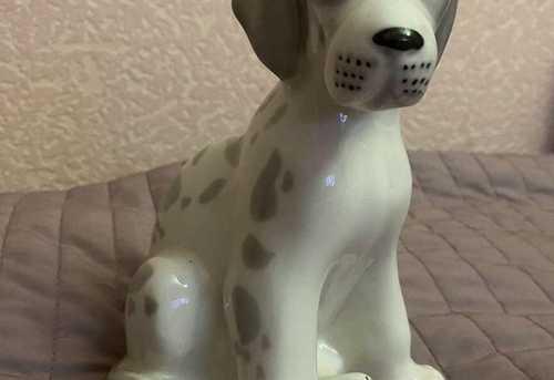 Фарфоровая статуэтка собака СССР