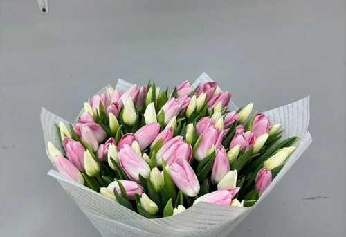 Тюльпаны Оптом 19 25 49 101 Цветы Букеты