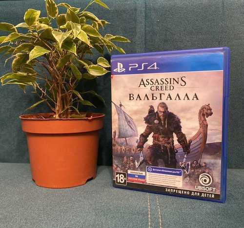 Assassins Creed Вальгалла PS4 / PS5