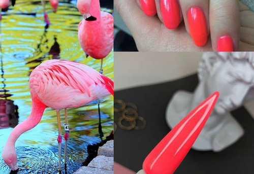 Гель-лак BioLucky Flamingo №010