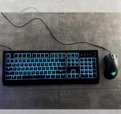 Игровая клавиатура Razer Cynosa V2   мышь Razer