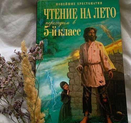 Книга чтение на лето 5-й класс