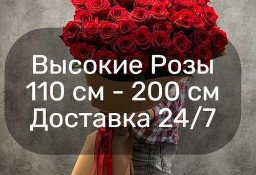 Большие розы букет цветов 160 см, 170 см, 180 см