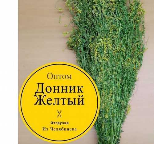 Опт донника белого и жёлтого — фото в чат