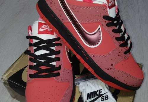 Nike sb dunk lobster red