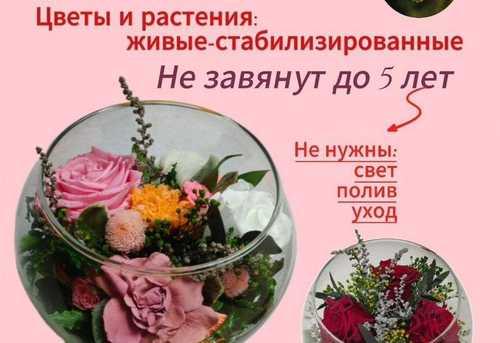 Цветы в стекле, вазе, шаре, Флорариум, арт419, от