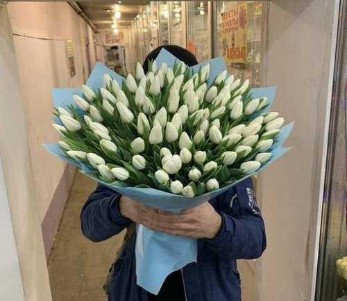 Белые Тюльпаны