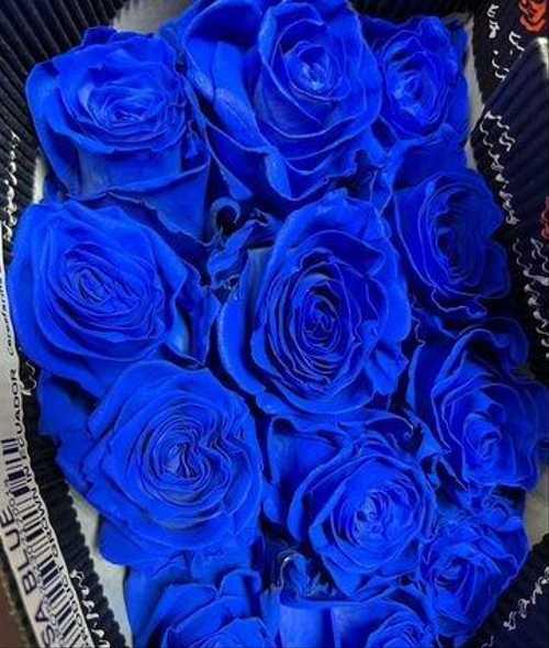 Цветы:Синие розы