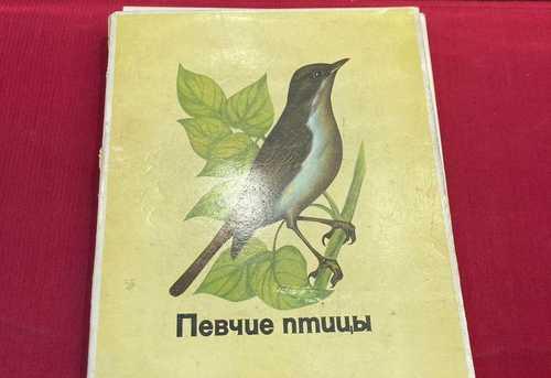 Спички Певчие Птицы