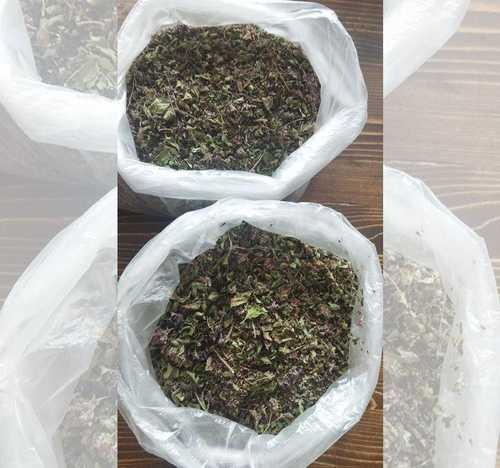 Трава душица