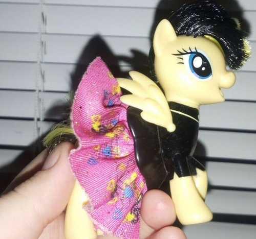 My little pony songbird serenade