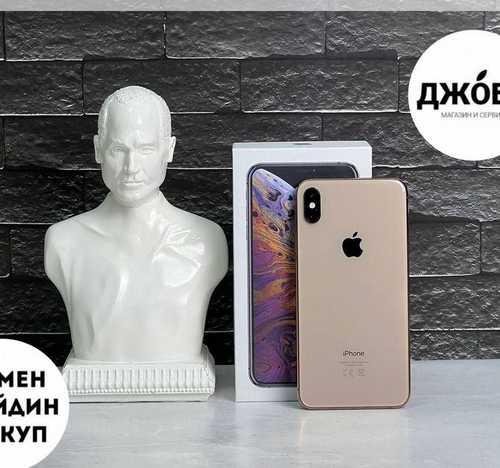 iPhone Xs Max, 256 ГБ