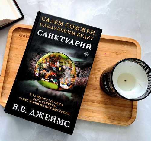 Книга Санктуарий