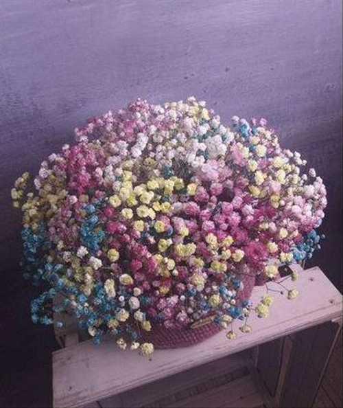 Цветы гипсофилы букет
