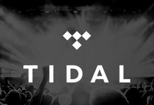 Tidal Hifi Plus Пожизненно