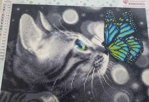 Картина алмазная готовая котик и бабочка