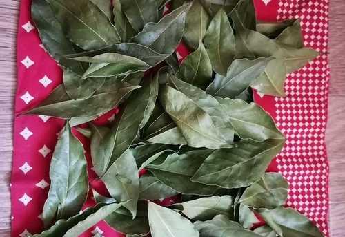 Лавровый лист сушеный