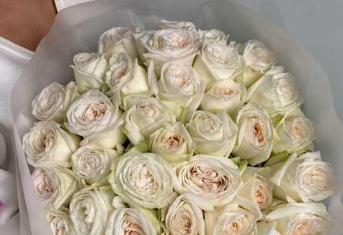 Букет роз Белые розы 19 25 35 51 101 роза Цветы