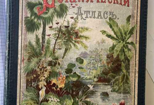 Вилькомм М. Ботанический атлас. Спб., 1898