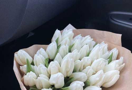 Крупные белые тюльпаны, букет тюльпанов, цветы