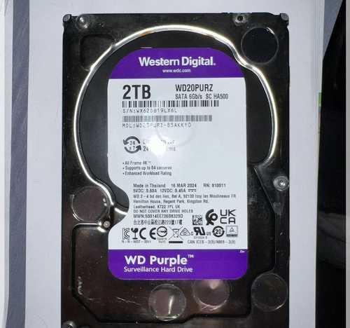 Western digital 2tb WD purpule