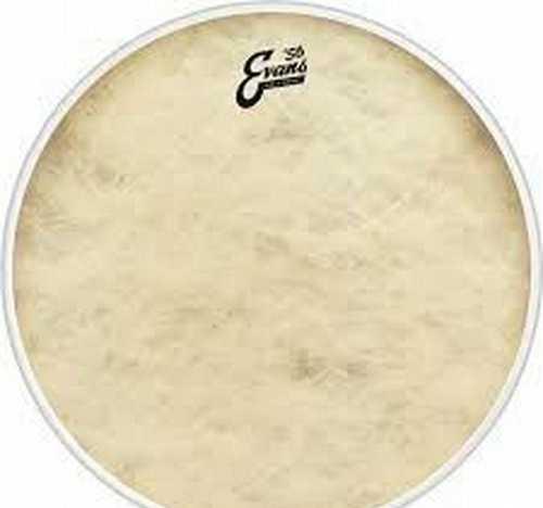 Evans BD20GB4CT EQ4 Calftone